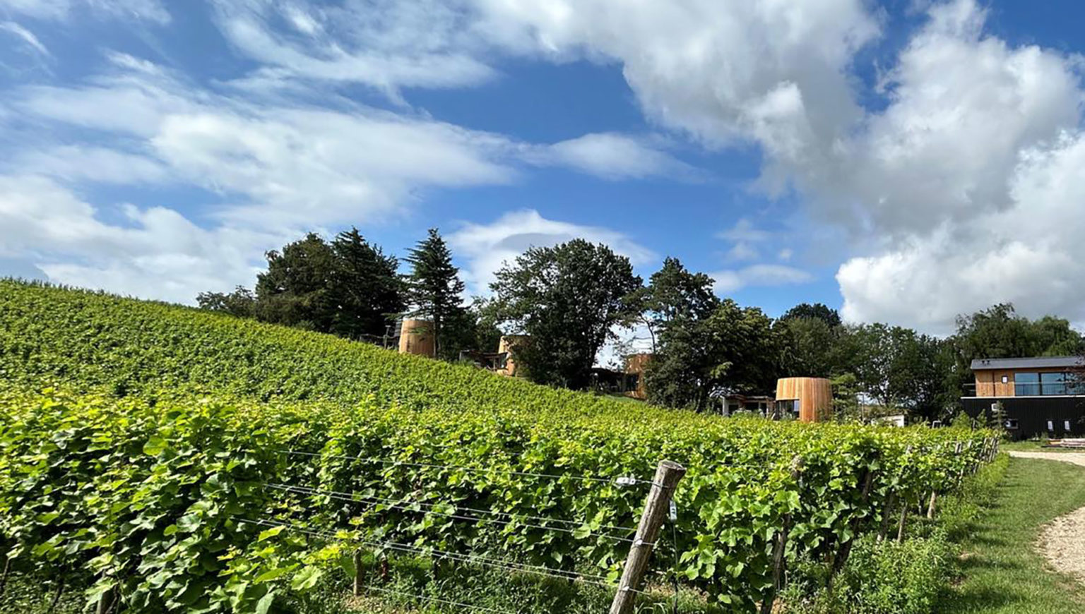 Domaine de Biamont - Logements insolites au cœur d'une vigne.